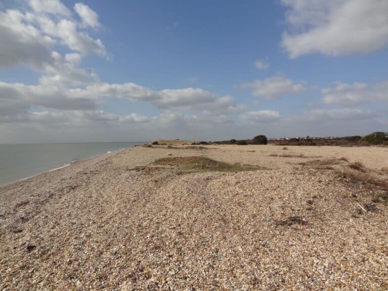 10 Gorgeous Portsmouth Beaches to visit this year