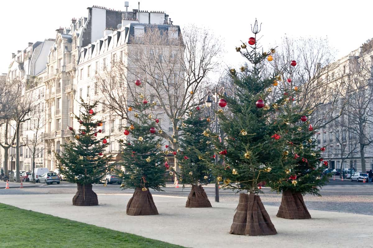 Christmas in Paris - A Complete Guide