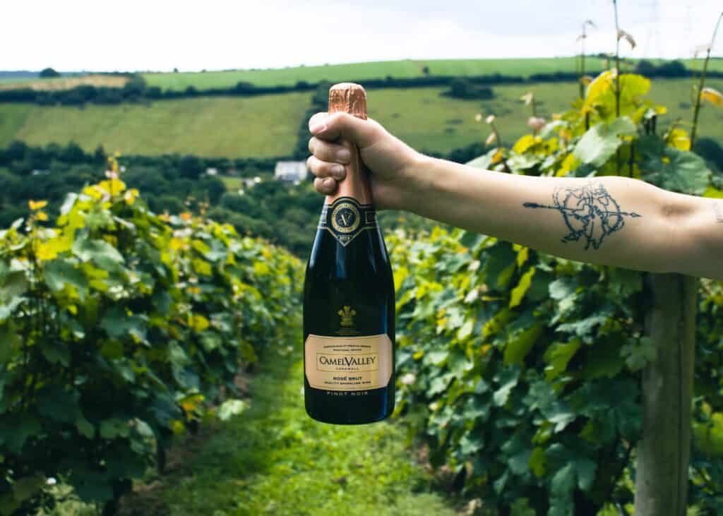 25 Facts About Champagne and the Champagne Region