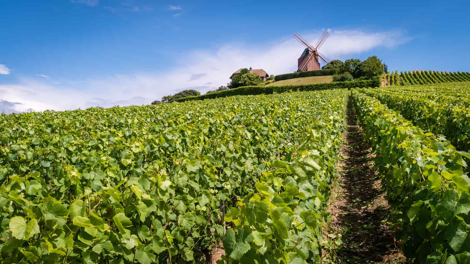 The best cities and villages to visit in the Champagne Region
