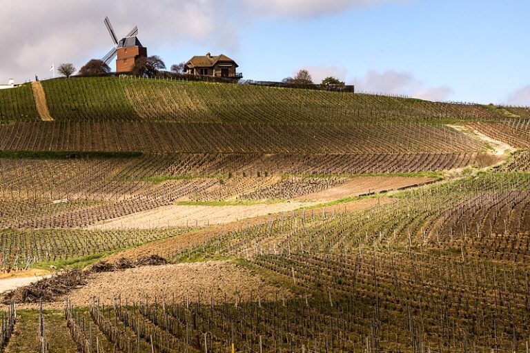 The Ultimate 3-day Itinerary of the Champagne Region in France