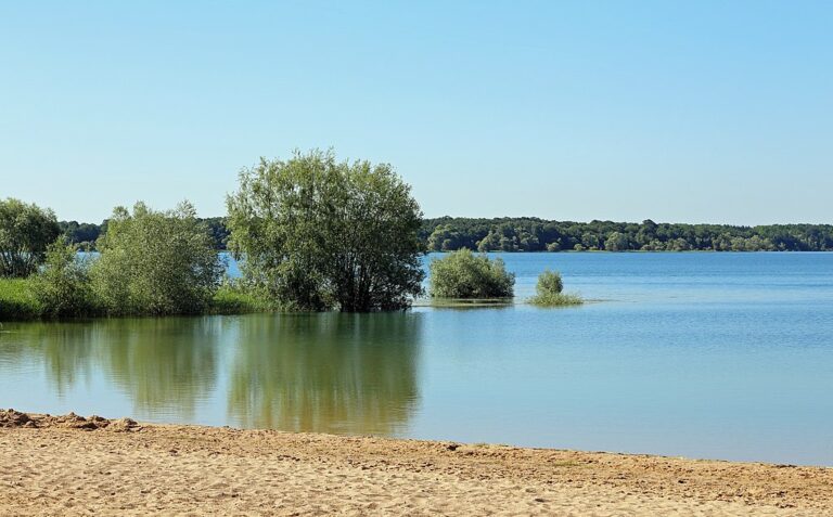 Best Things To Do In Troyes: A Travel Guide